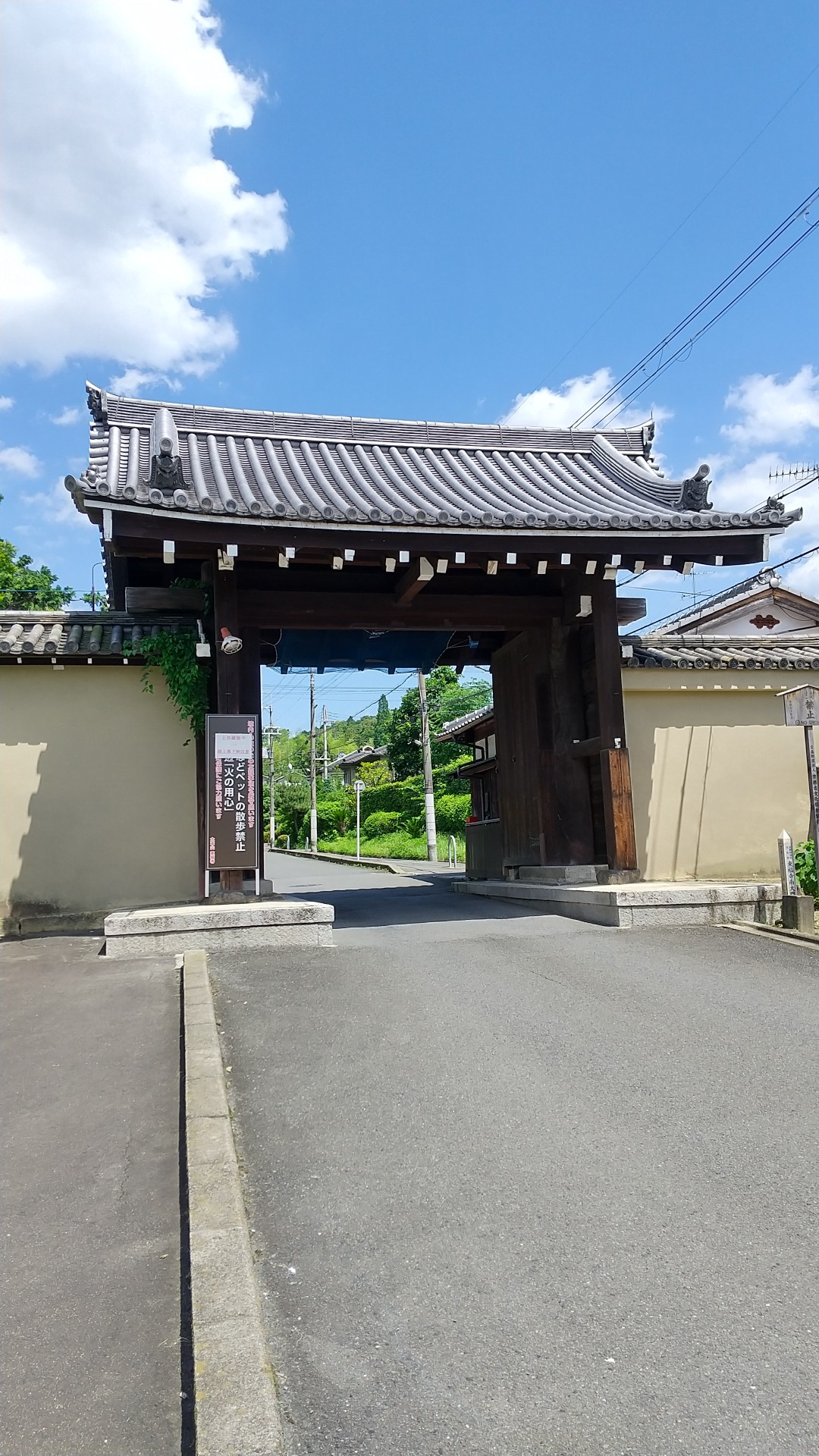 個別「20210530165929」の写真、画像 - Hatena Blog - pongeponge's fotolife