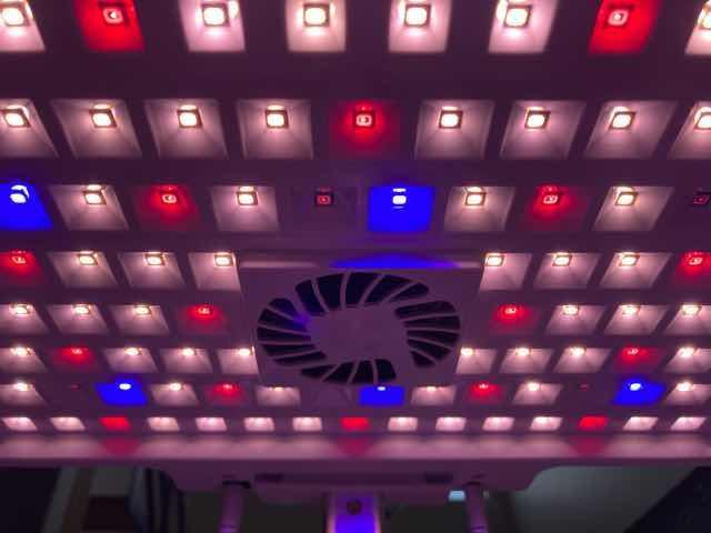 【レビュー】LED水耕栽培キットIDOO12株で野菜,花をおしゃれに!初心者おすすめ - ぽんこくらぶ