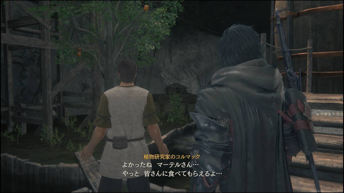 【ネタバレプレイ】FF16 #39 次の狙い - ゆるぽぽ帳