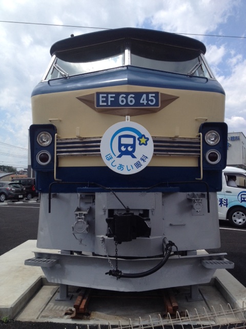 EF66-45がいた！ - 休日の屋根裏