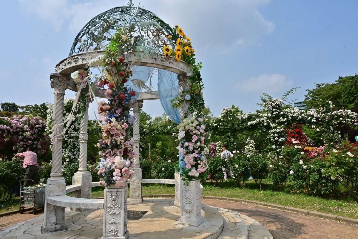 🌹京成バラ園 その③ - photo & hobby