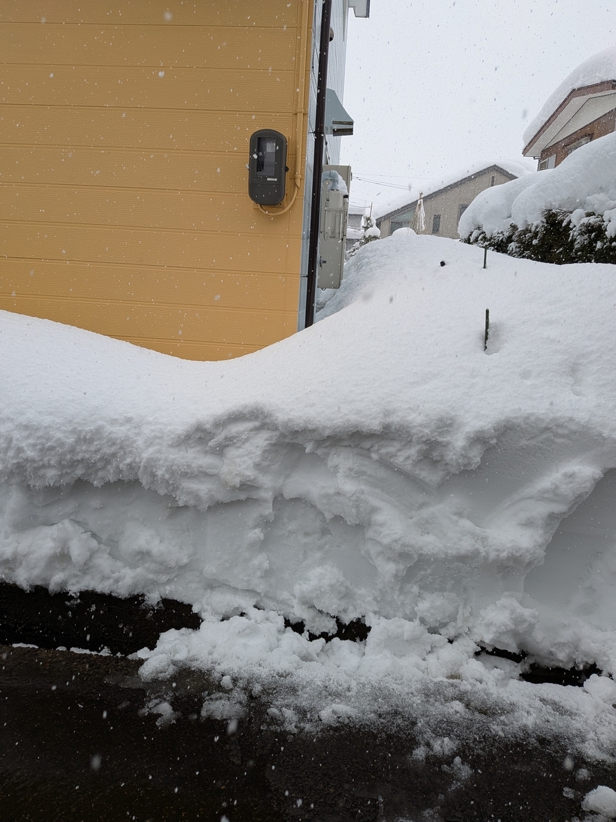 大雪で頑張れないかも？ - ぷりんちゃん日記