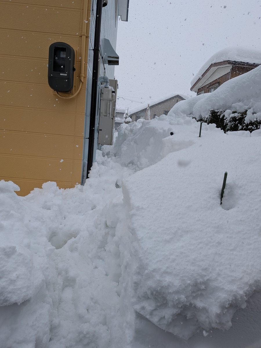 大雪で頑張れないかも？ - ぷりんちゃん日記