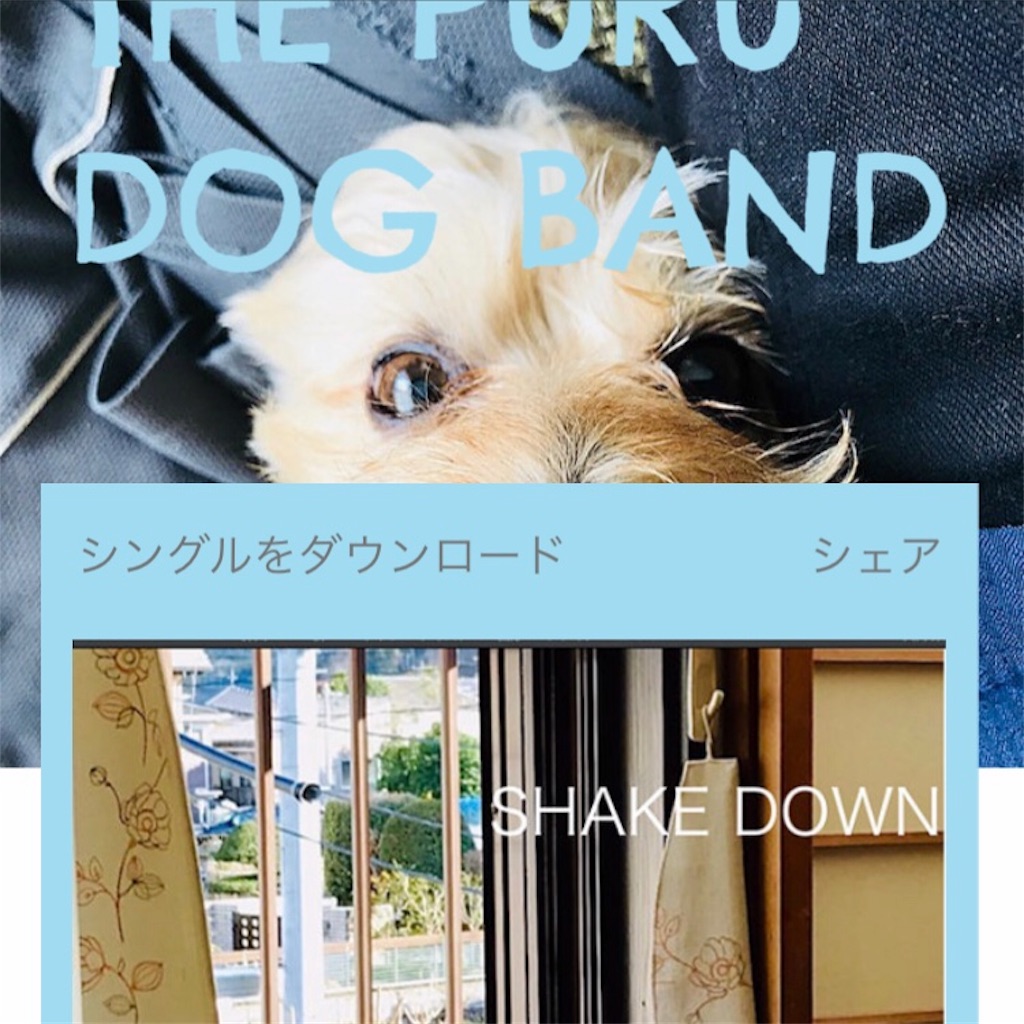 昨日は寝落ち - ゆりかごからバックヤードまで