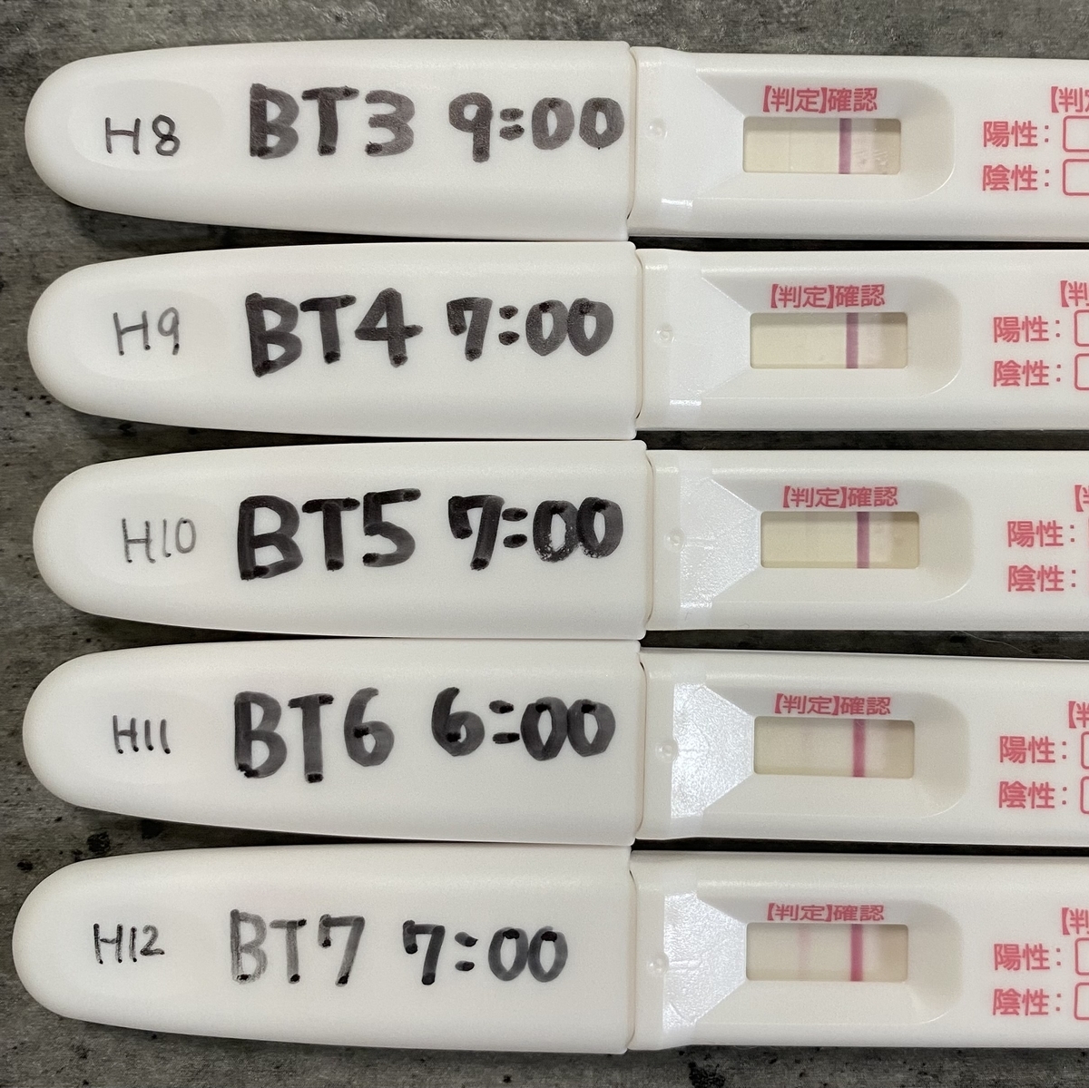 胚盤胞移植 BT7 朝、夕方フライング結果( ¯ᵕ¯ )♡ - 37歳 不妊治療→妊娠出産育児ブログ‪🍀