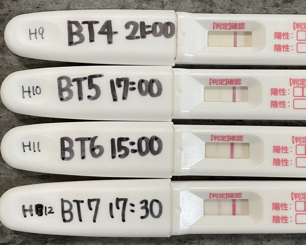 胚盤胞移植 BT7 朝、夕方フライング結果( ¯ᵕ¯ )♡ - 37歳 不妊治療→妊娠出産育児ブログ‪🍀