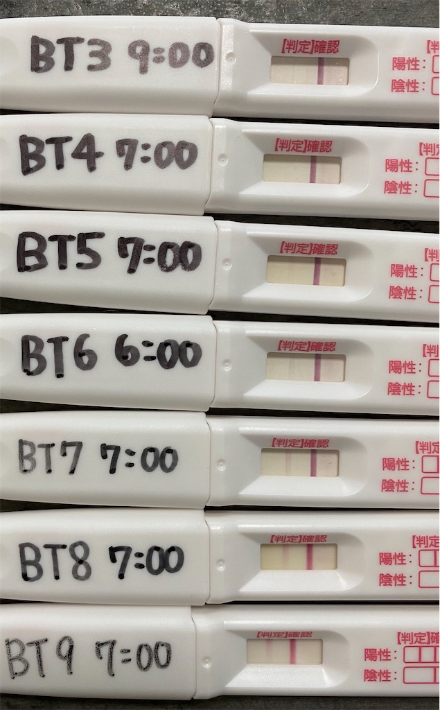 胚盤胞移植 BT9朝、夕方フライング結果( ¯ᵕ¯ )♡ - 37歳 不妊治療→妊娠出産育児ブログ‪🍀