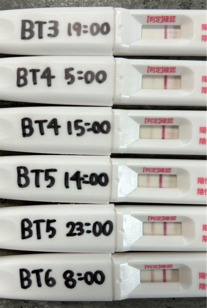 移植4回目 BT6 体調＆フライング結果報告 - 37歳 不妊治療→妊娠出産育児ブログ‪🍀