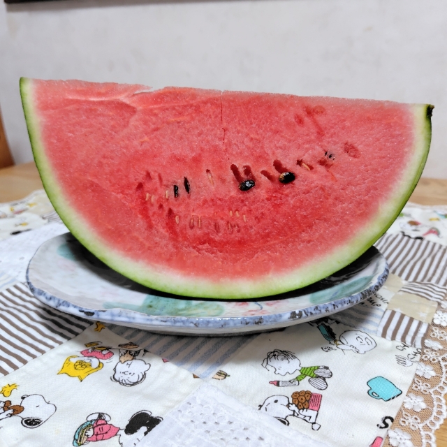 風太の夢☆ diary