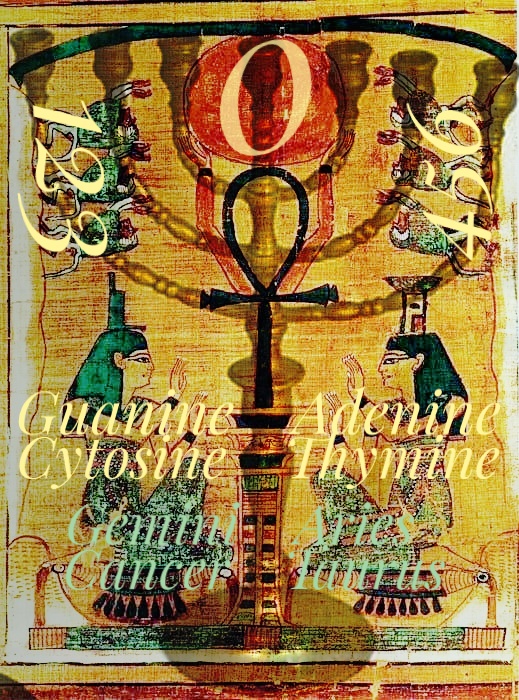 日子 (※加古の胡弓 弐ノ型) - qmaps blog “世界は親父ギャグで出来ているかもw”