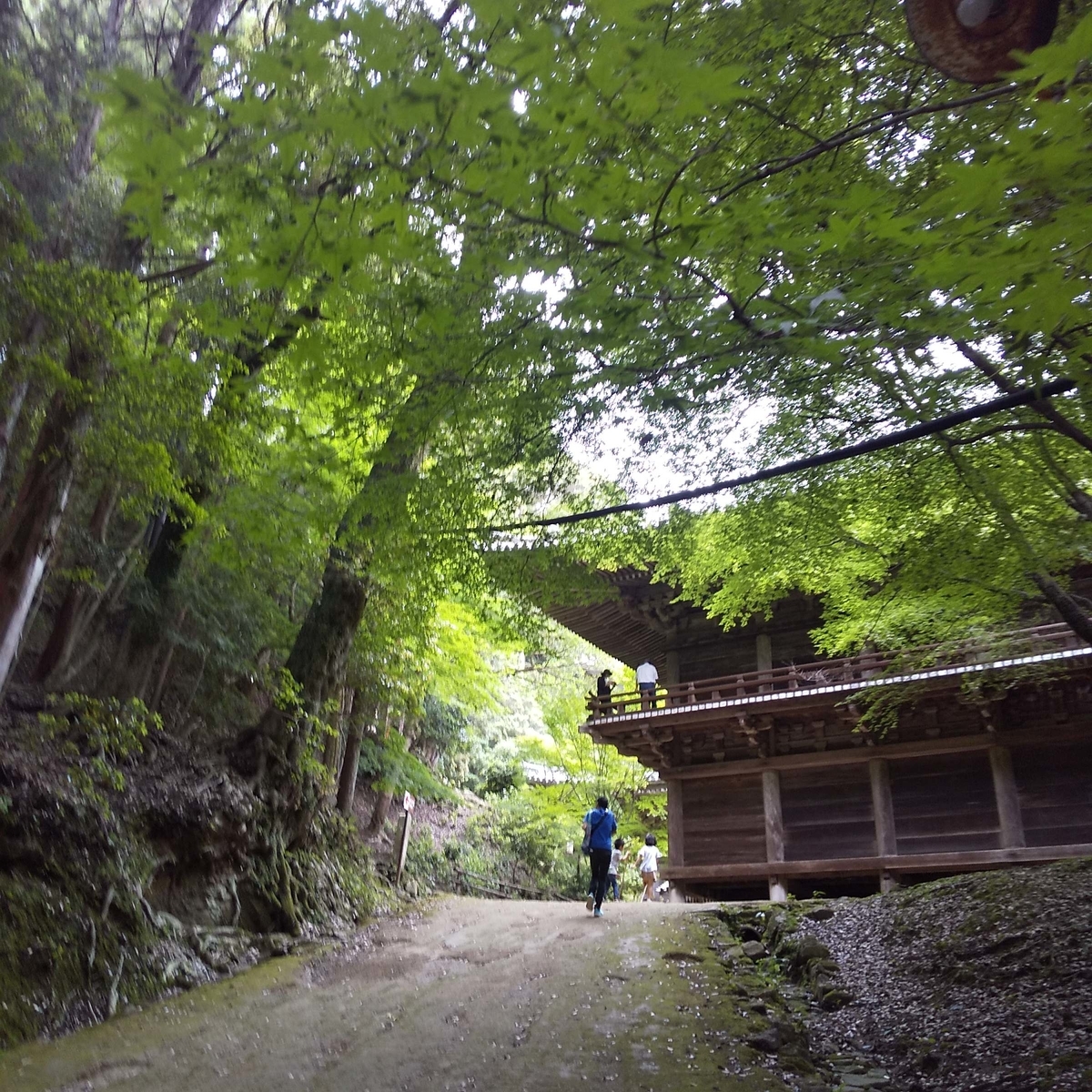 Collection of greatest temples in Japan; Himeji, ENGYOJI Temple - Come ...