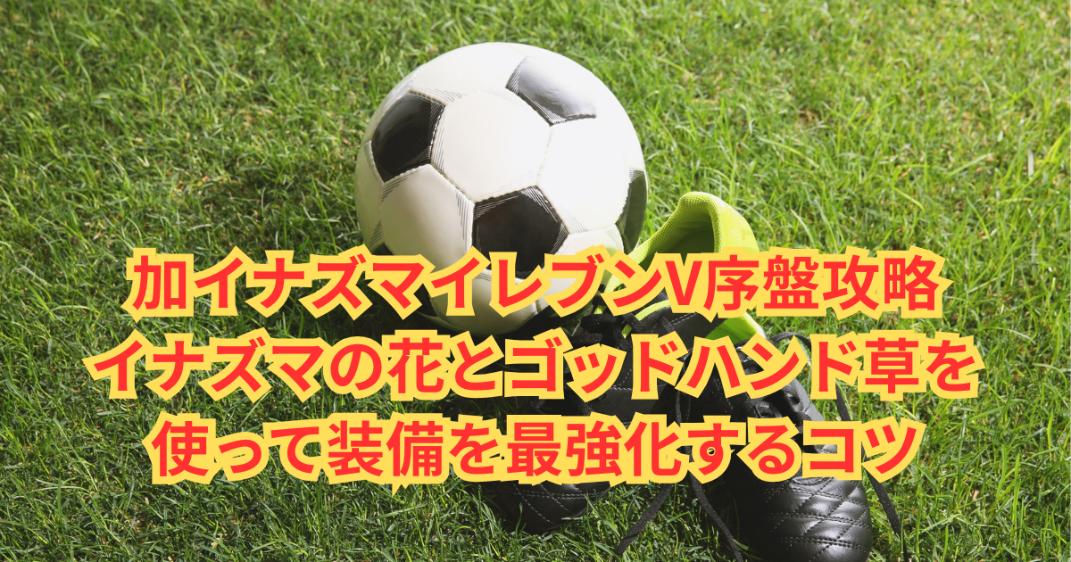 【イナズマイレブンV攻略】イナズマの花とゴッドハンド草の入手法＆最強装備ルート完全ガイド - zuki’sタイムズ