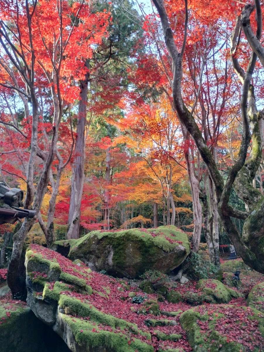 Mirana Faizで、Le Réveil des Rêves (Morning Valse)です - quest_san’s diary