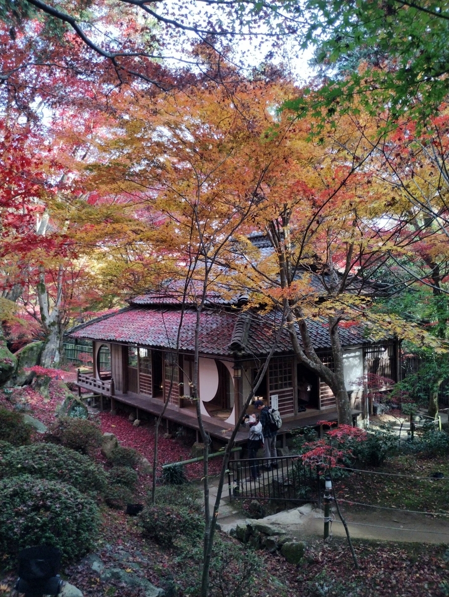 Mirana Faizで、Le Réveil des Rêves (Morning Valse)です - quest_san’s diary