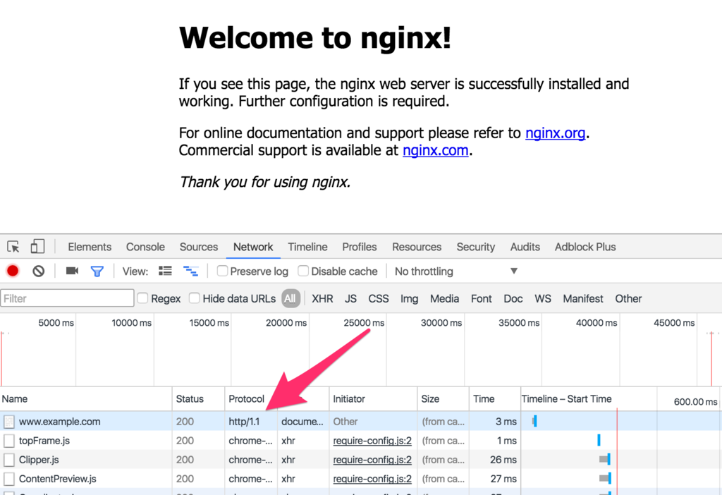 NginxでHTTP/2（ALPN対応） - Carpe Diem