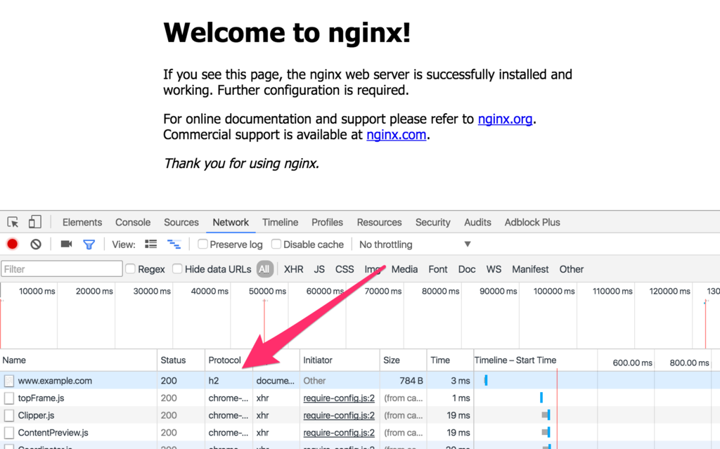 NginxでHTTP/2（ALPN対応） - Carpe Diem