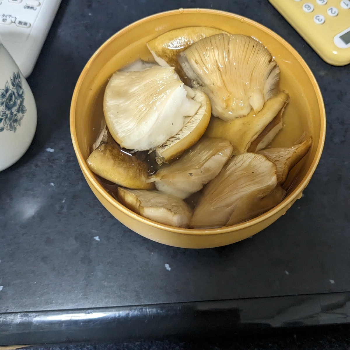 野生のきのこ - とうほく健康旅猫日記