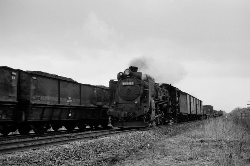 風の中で - ただいま鉄道写真スキャン中