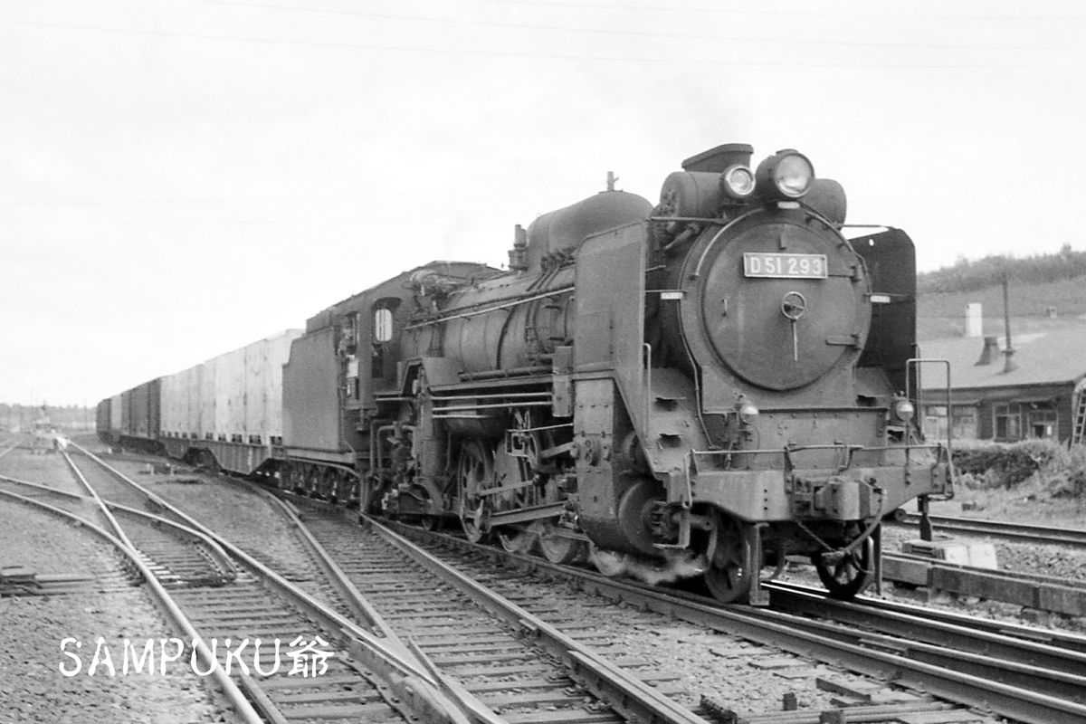 D51 293 - ただいま鉄道写真スキャン中