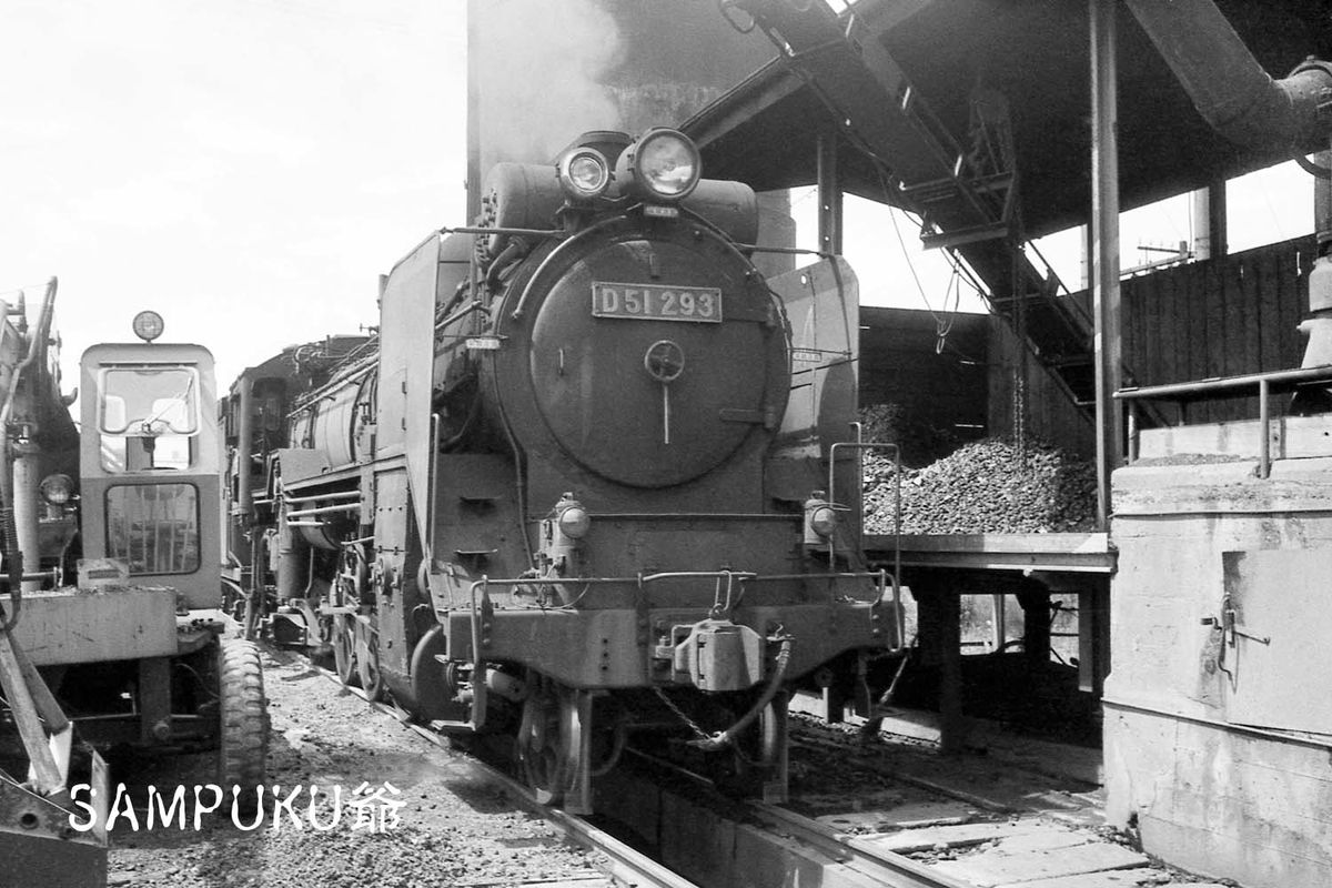 D51 293 - ただいま鉄道写真スキャン中