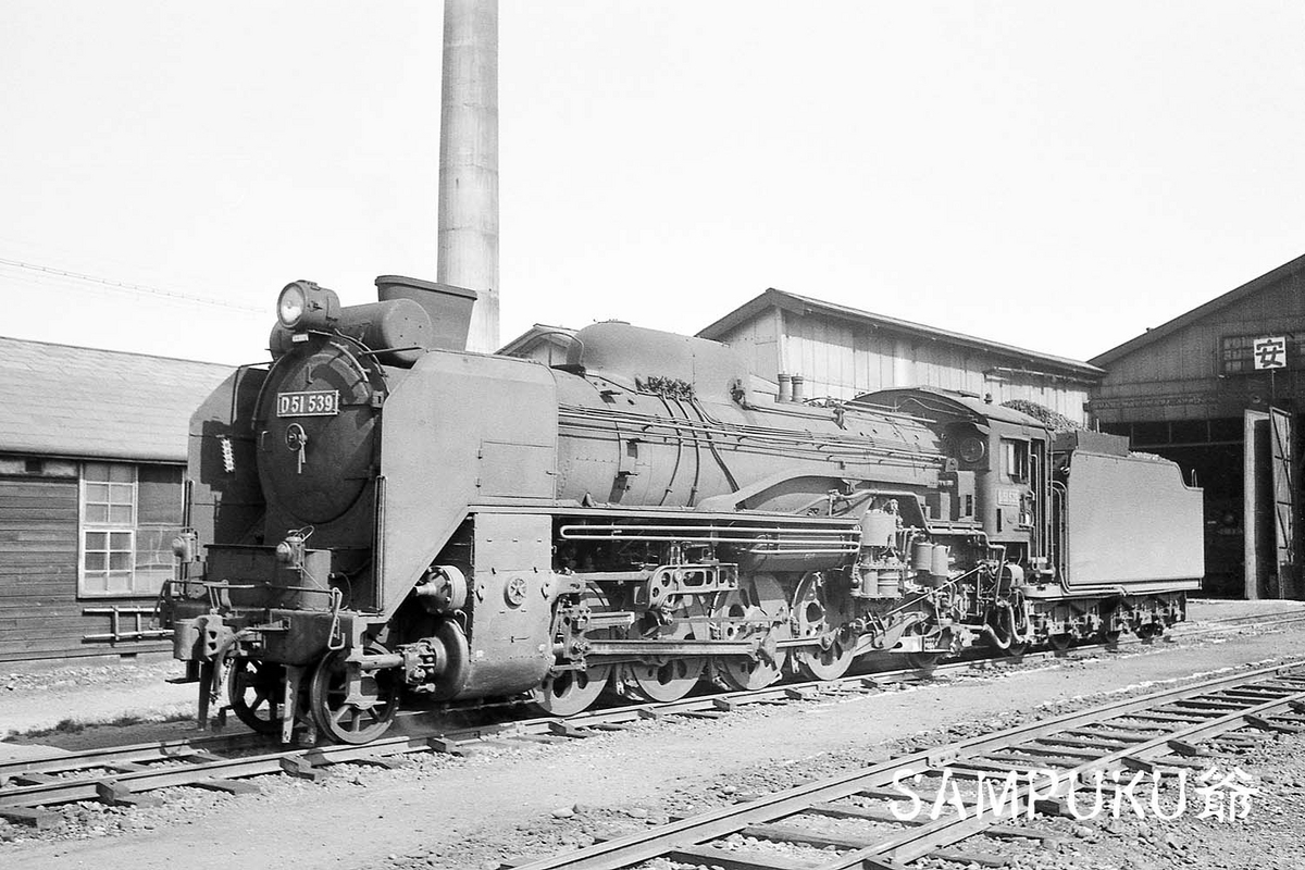 D51 539 - ただいま鉄道写真スキャン中