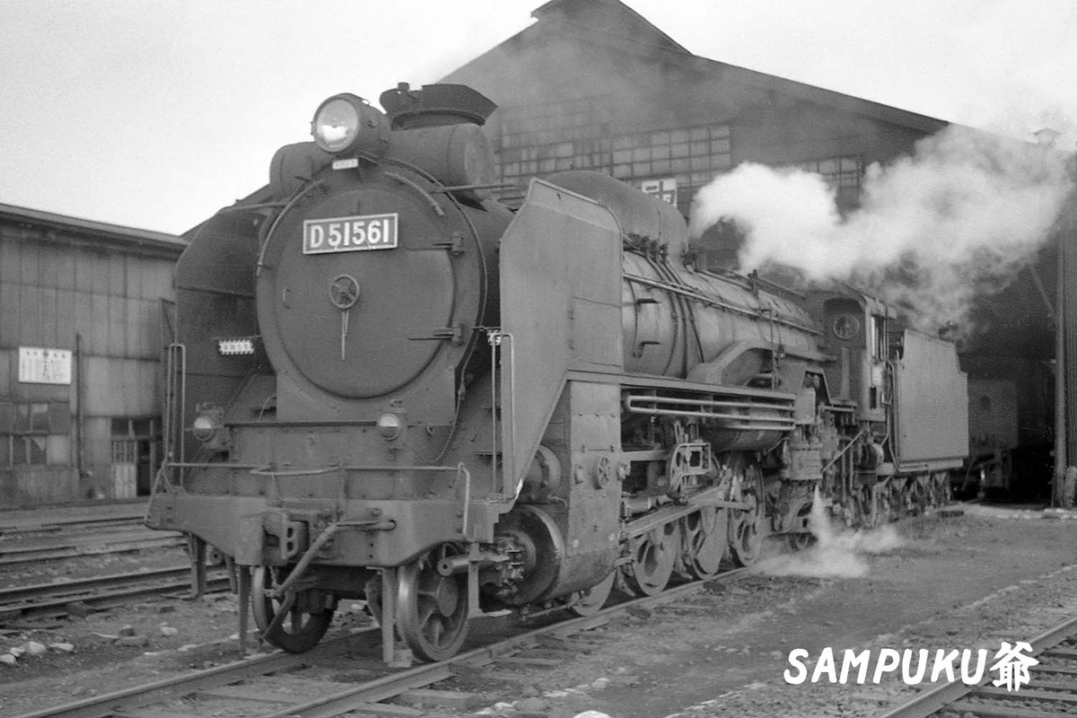 D51 561 - ただいま鉄道写真スキャン中
