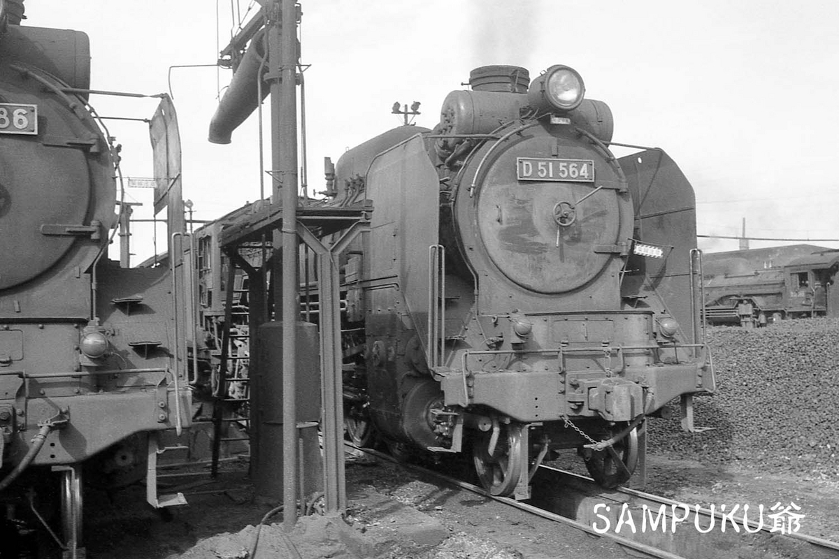 D51 564 - ただいま鉄道写真スキャン中