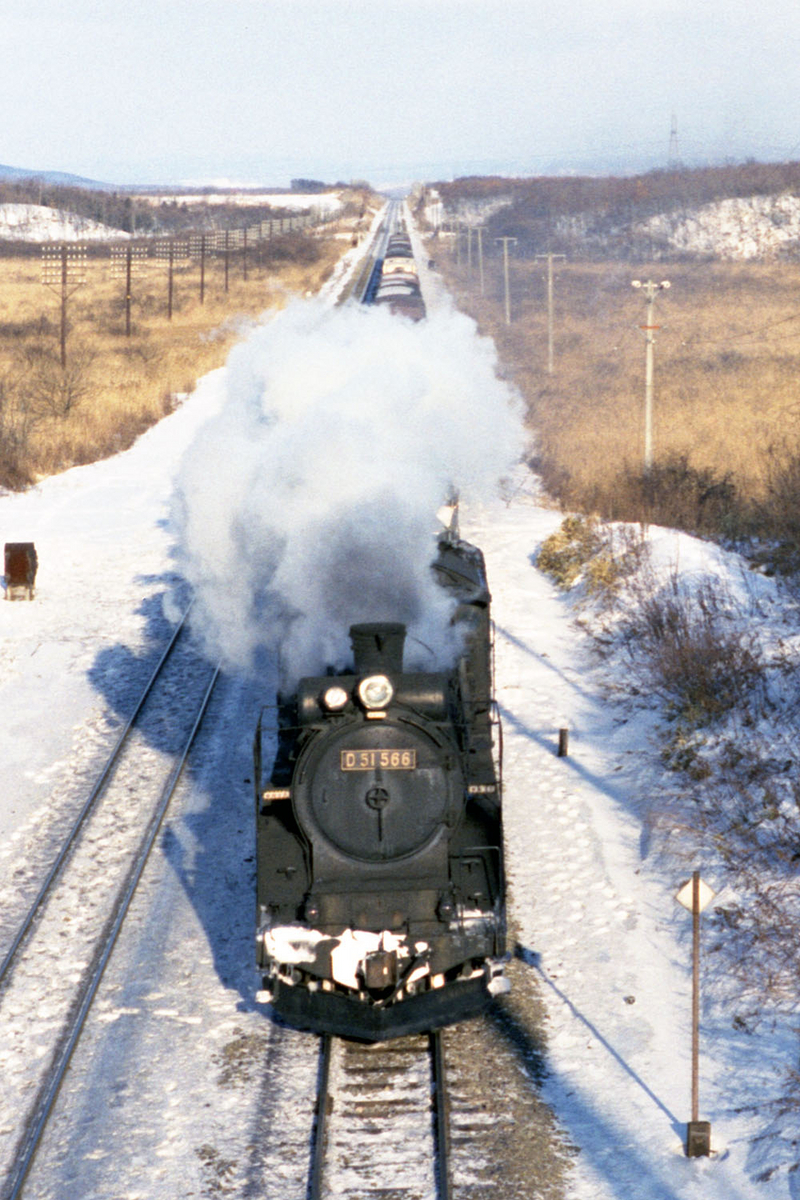 D51 566 - ただいま鉄道写真スキャン中