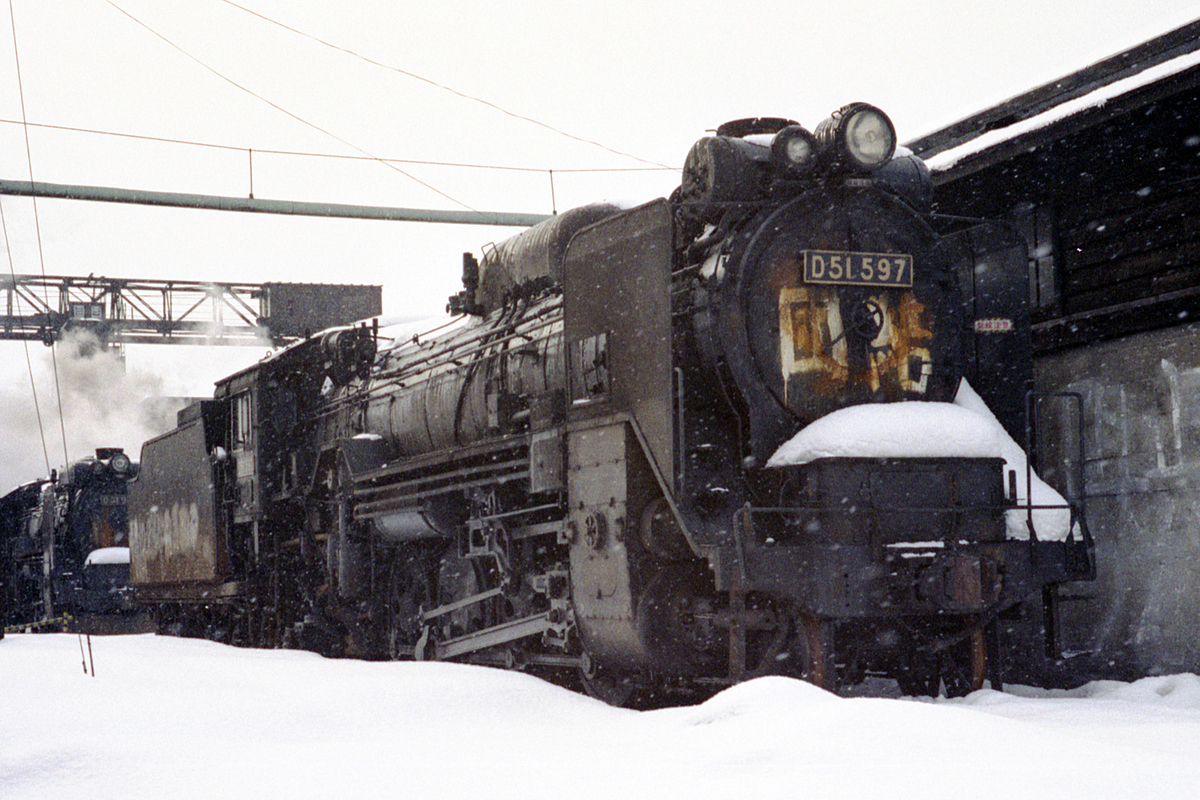 D51 597 - ただいま鉄道写真スキャン中