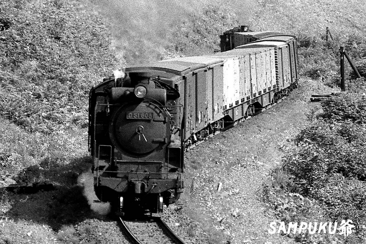 D51 608 - ただいま鉄道写真スキャン中