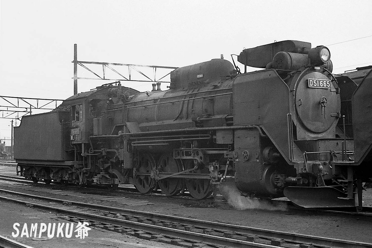D51 665 と C11 315 - ただいま鉄道写真スキャン中