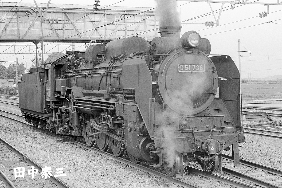 D51 736 - ただいま鉄道写真スキャン中