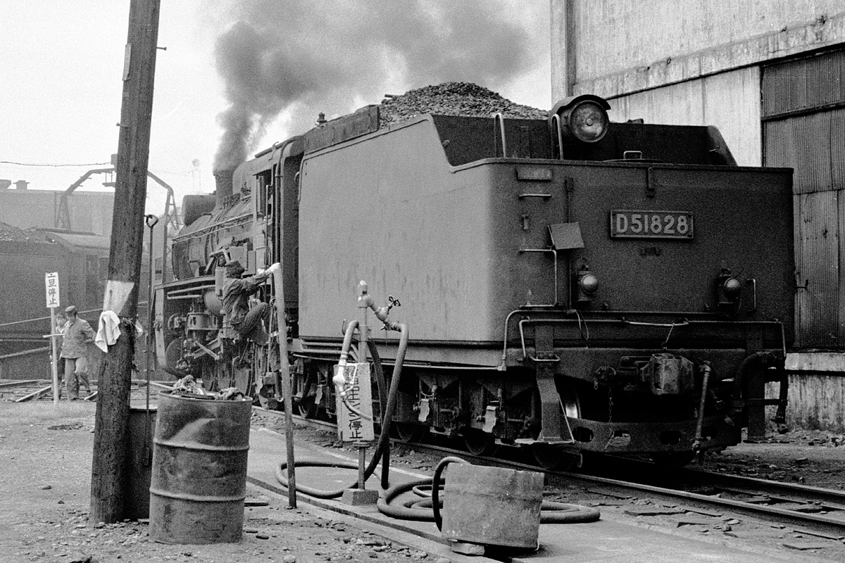 D51 828 - ただいま鉄道写真スキャン中