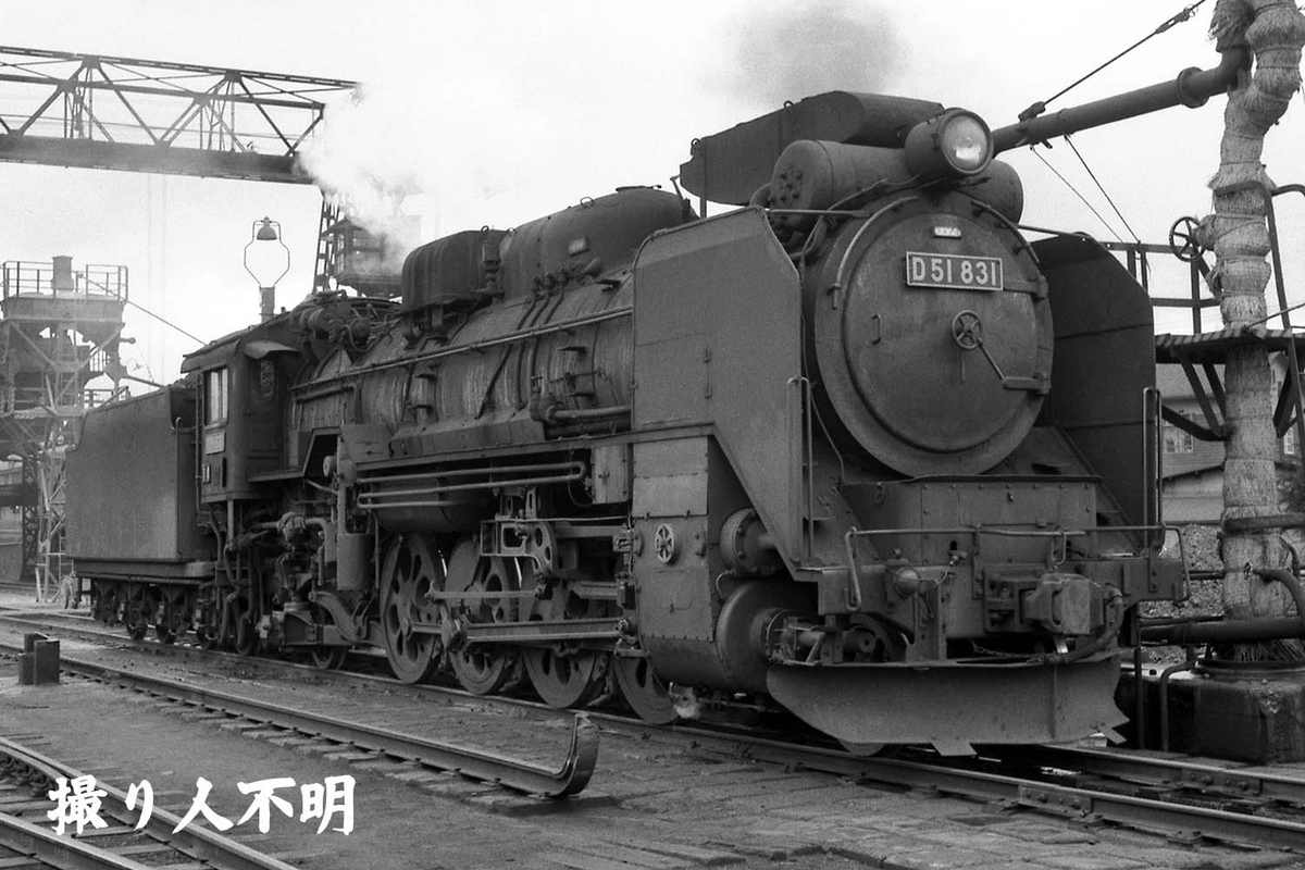 D51 831 - ただいま鉄道写真スキャン中