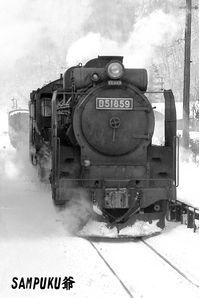 D51 859 - ただいま鉄道写真スキャン中