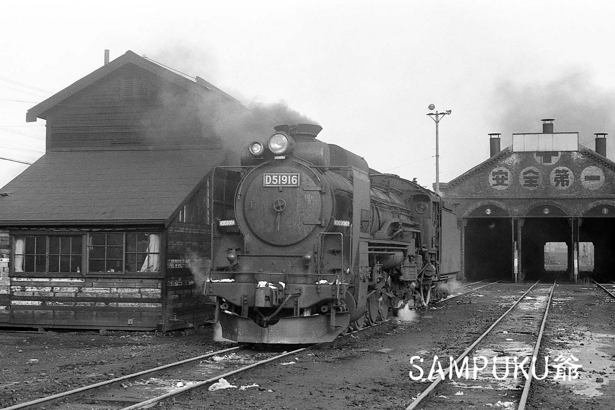 D51 916 - ただいま鉄道写真スキャン中