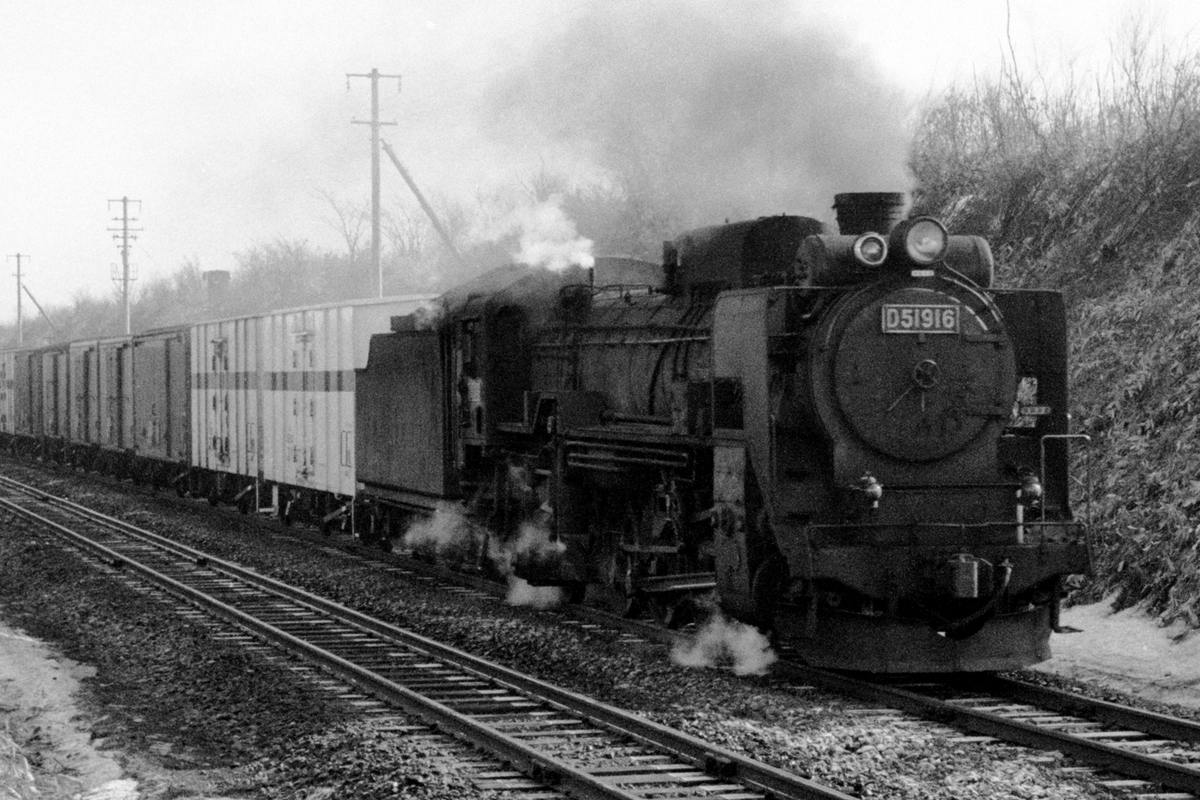 D51 916 - ただいま鉄道写真スキャン中
