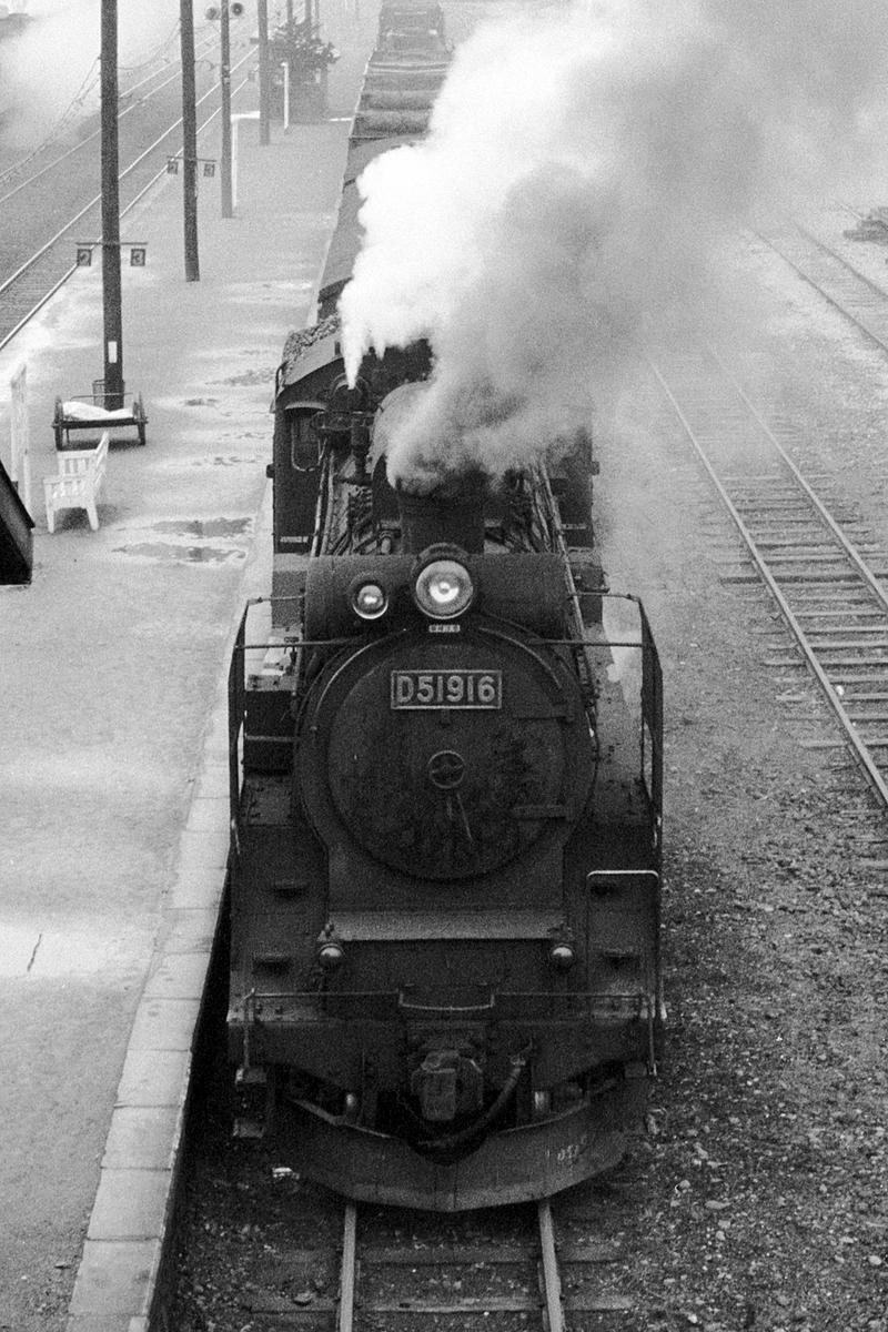D51 916 - ただいま鉄道写真スキャン中