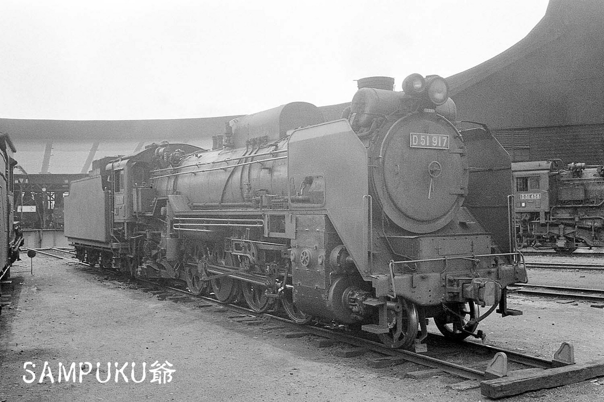 D51 917 - ただいま鉄道写真スキャン中