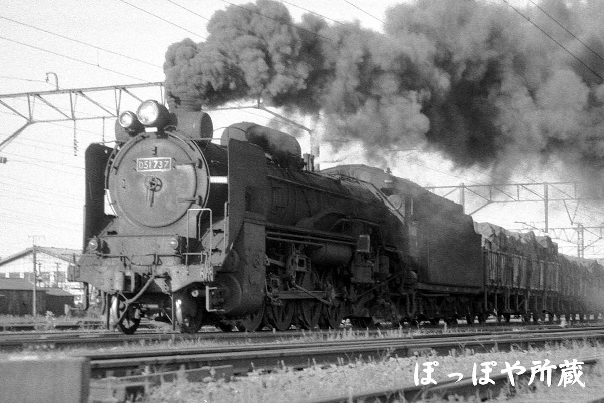 D51 737 - ただいま鉄道写真スキャン中