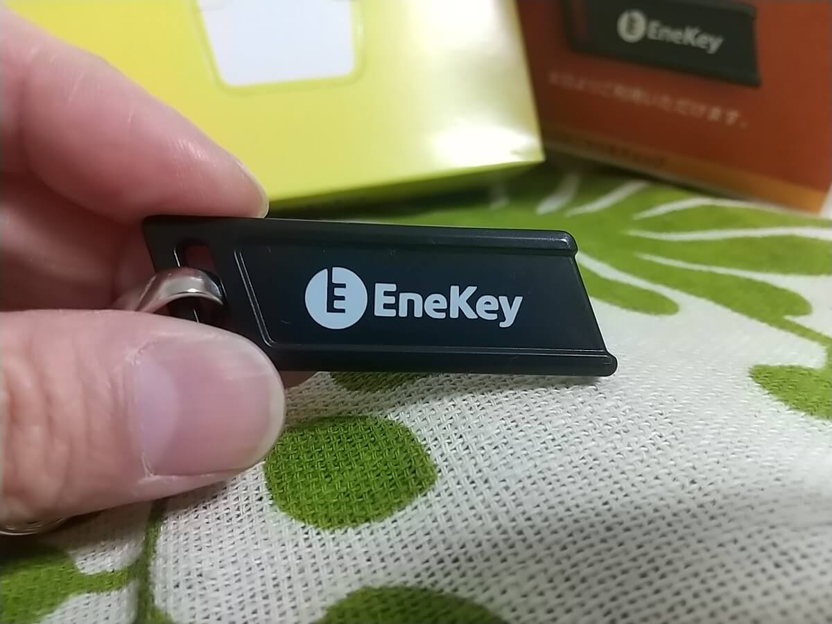 ついに私もEneKeyデビュー - いつも疲れているけどなんとか生きてるブログ