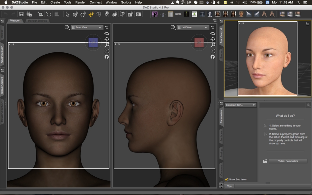ナナコの作り方その1 材料調達と下準備 - DazStudioで日本人キャラを作る。
