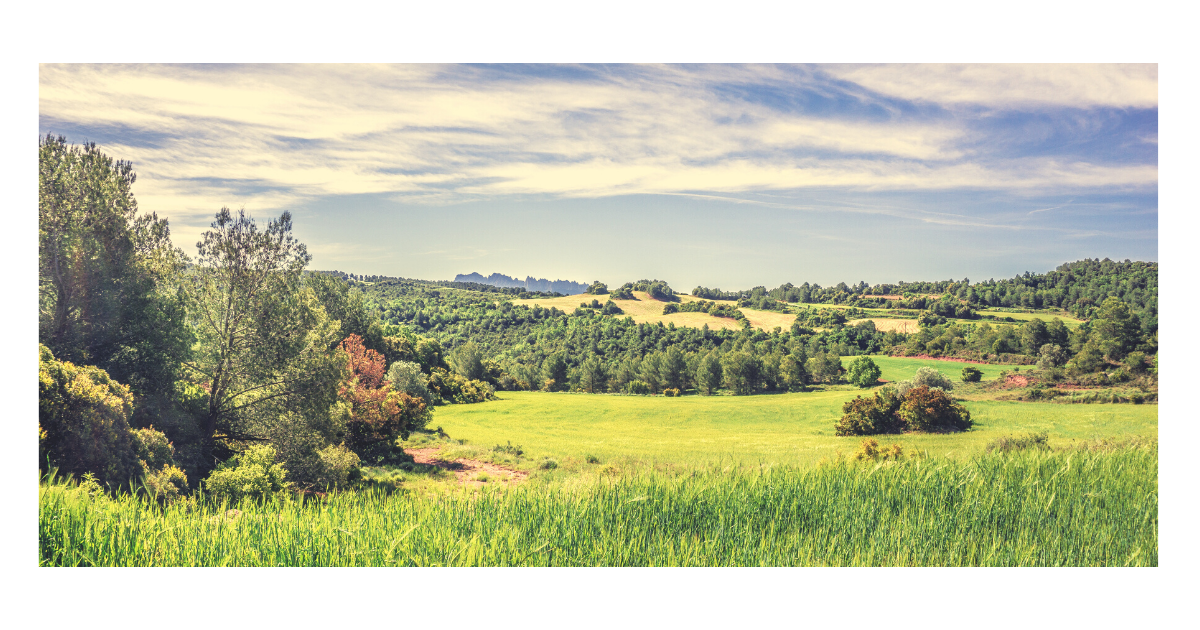 [B!] カズオ・イシグロ × 大江健三郎 対談レポート ～前篇～ - Ranun’s Library