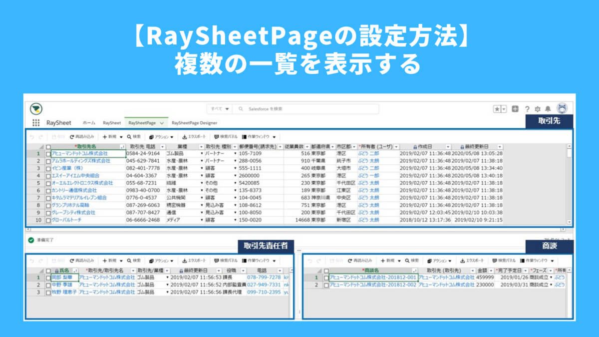 Salesforceの画面カスタマイズをノーコードで ―RaySheetPage Designerで複数の一覧を表示する方法―｜RayKit活用ブログ-SalesforceとExcelのイイ ...