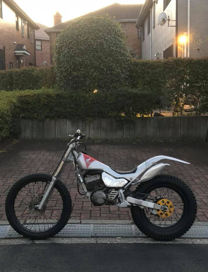 新たなオモチャがやってきた。 | raybrix-reono