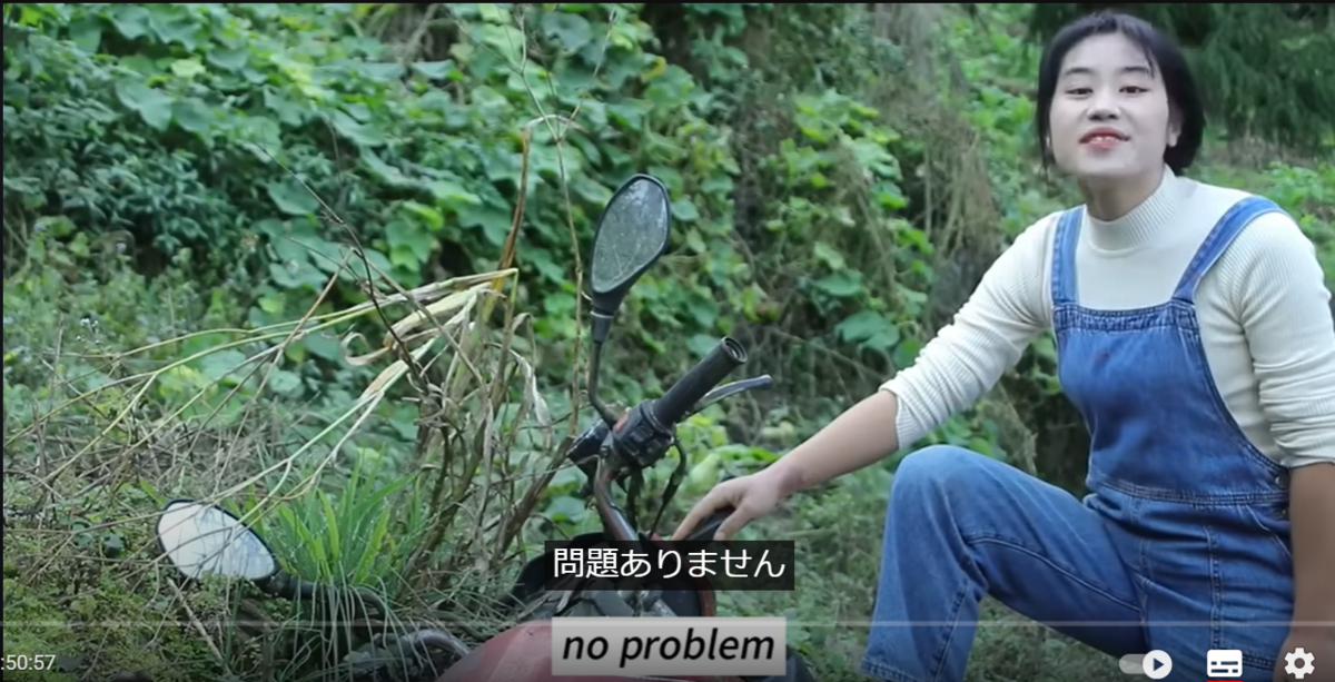 暮れから正月。どのYou Tube動画も退屈極まりなかったが唯一、90分の長時間魅入った動画はLinguoer—mechanic ...