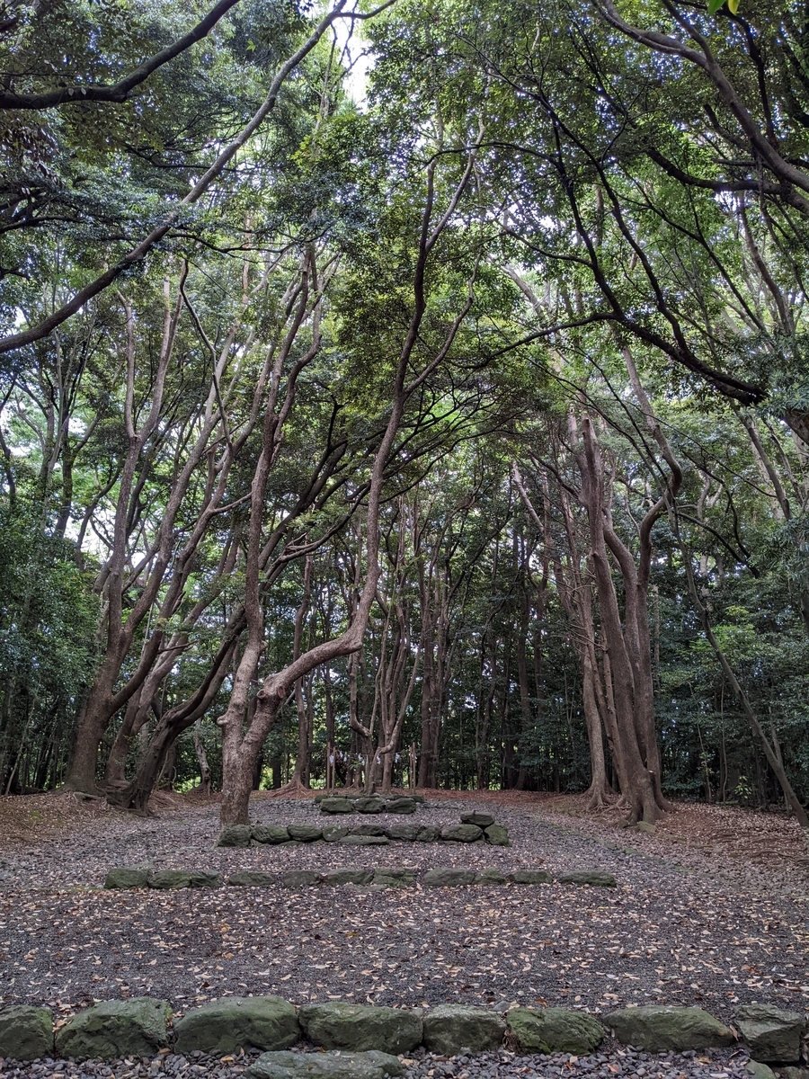 高宮祭場の神聖な風 - リアル60代&70代