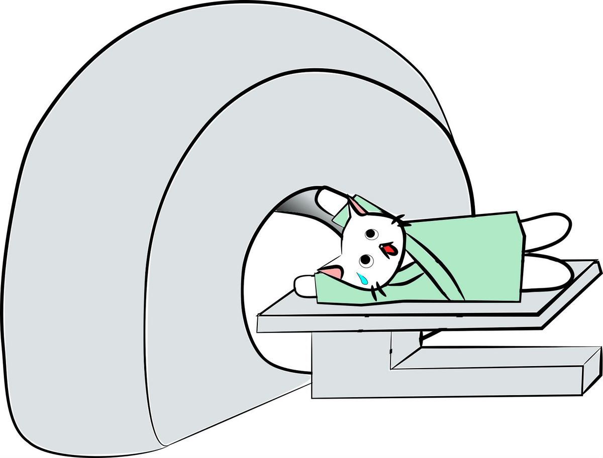MRI検査 体験談 - リアル60代&70代