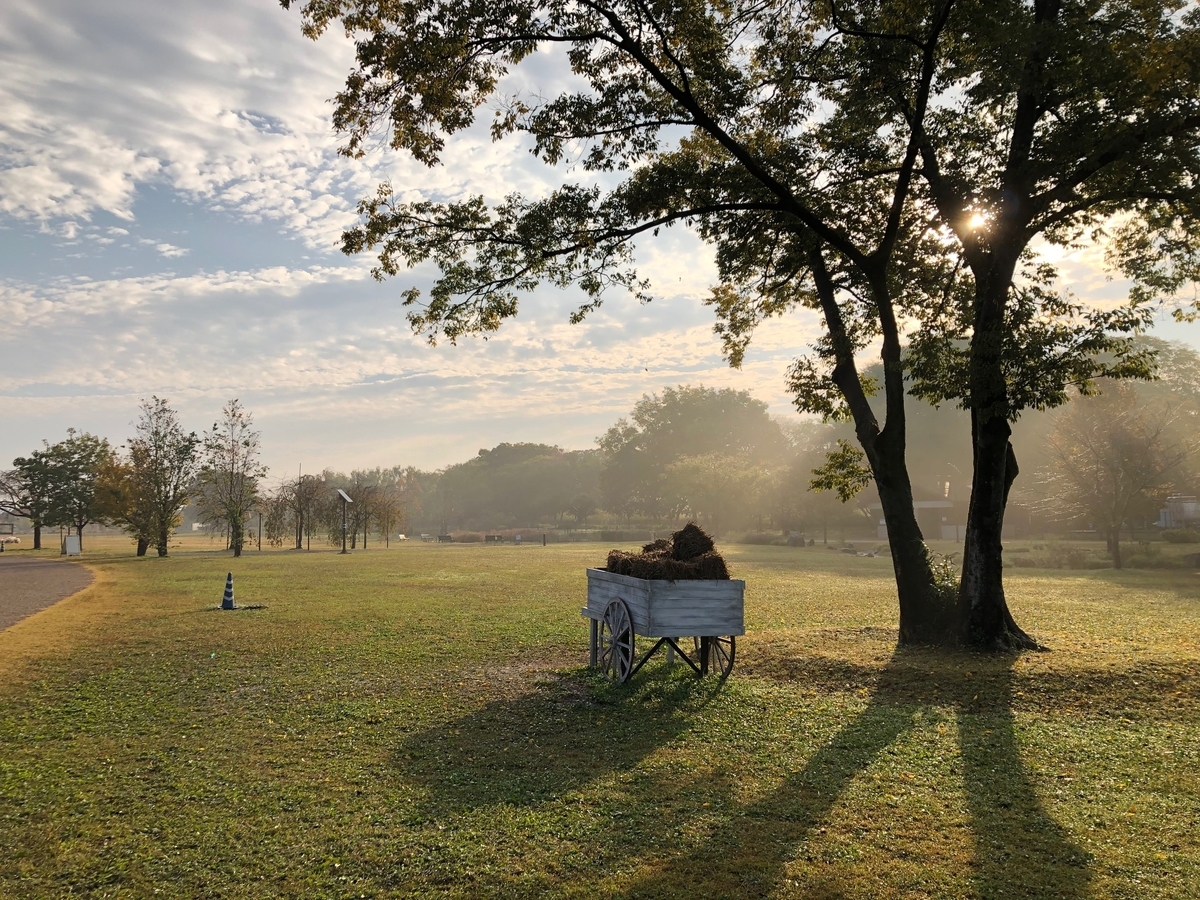 リブ散歩 - ribdestroyerのブログ