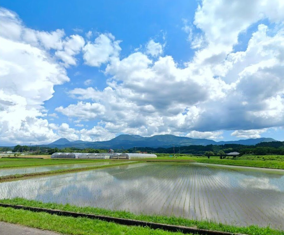 Meta Quest2 VZFITで日本縦断～宮崎編 - ribdestroyerのブログ